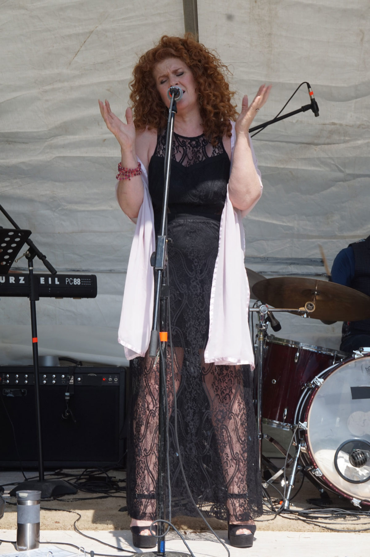 Gallery – Circus of Wolves